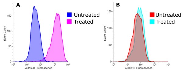 MIN6 Mouse Insulinoma Cell Line | SCC623